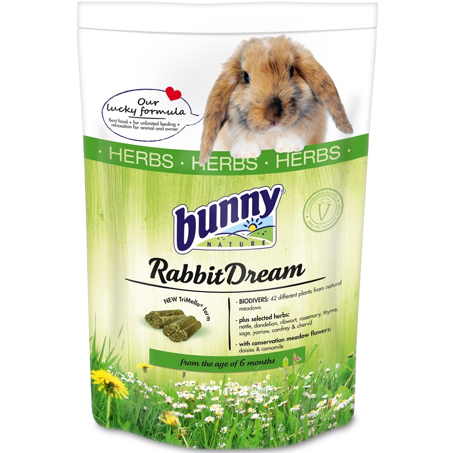 Bunny Nature Rabbit Dream Herbs
