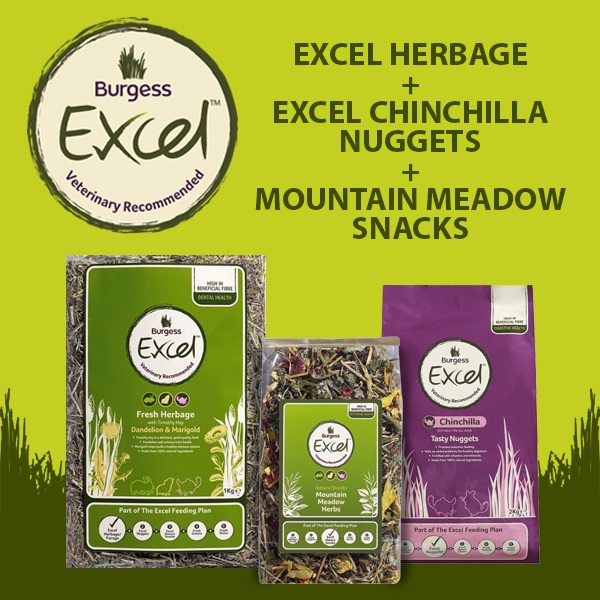 XExcel Chinchilla Food Bundle