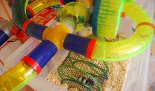 Pet Habitat South Africa
